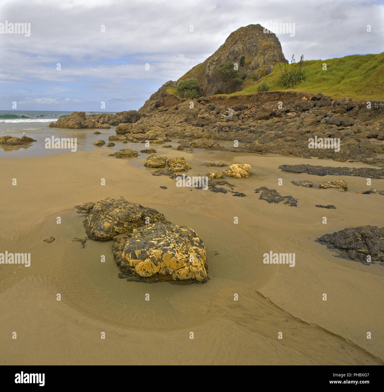 Te Arai Point, New Zealand Stock Photo - Alamy