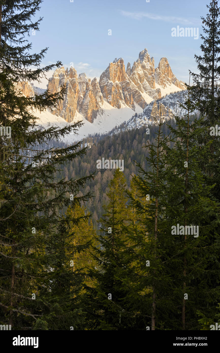 Formin hi-res stock photography and images - Alamy