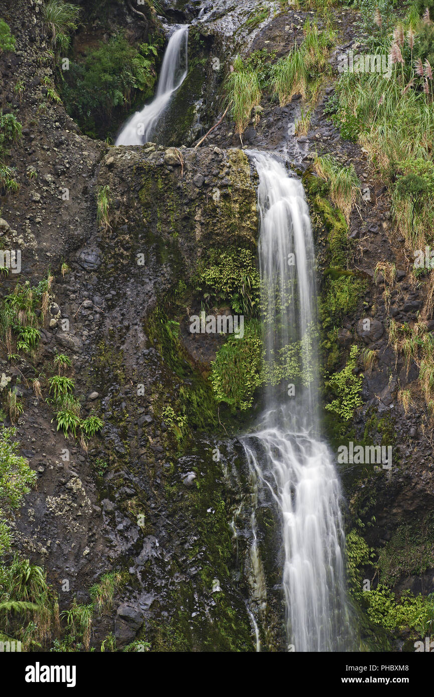 Kitekite Falls, Waitakere Ranges Regional Park, New Zealand Stock Photo ...
