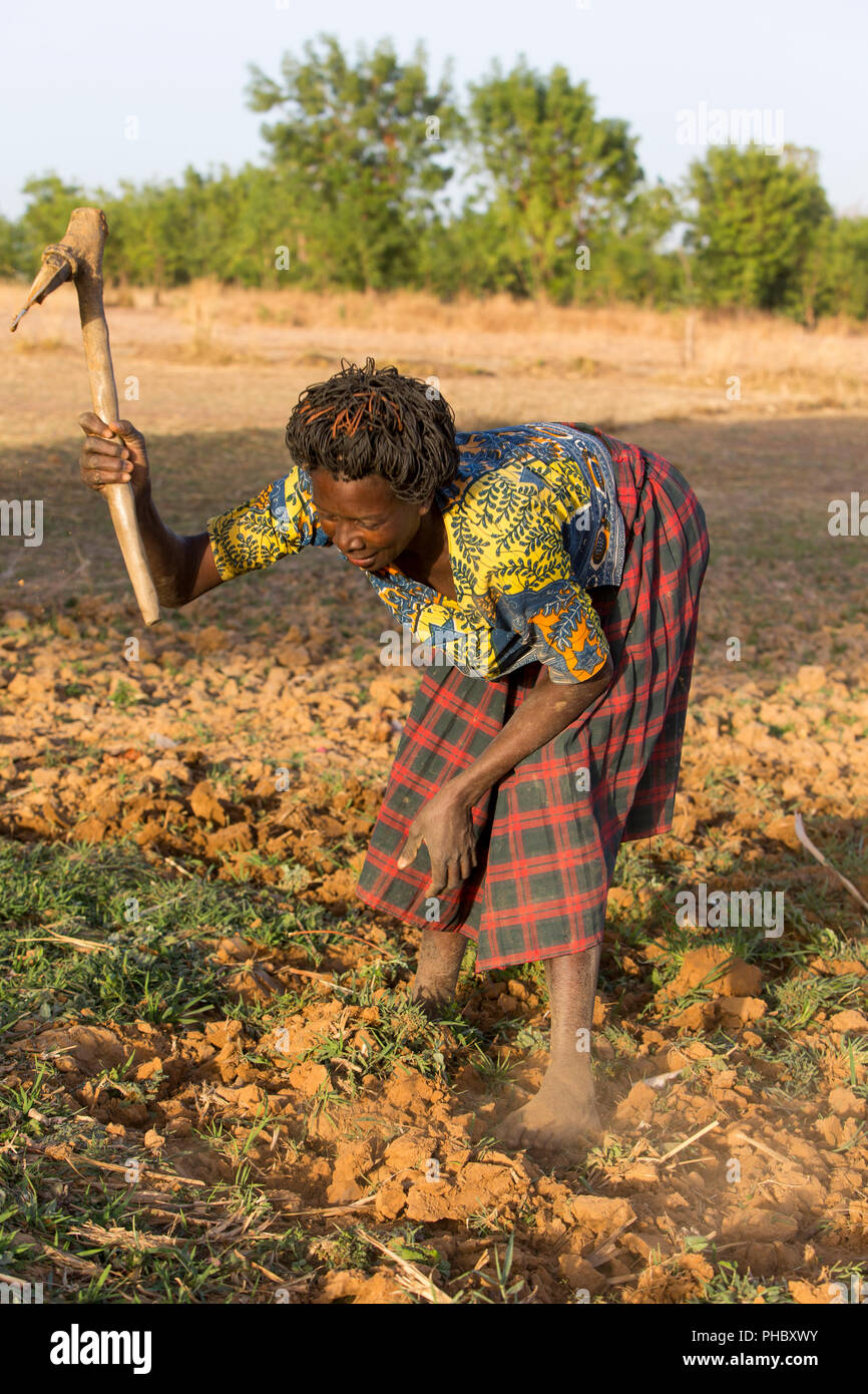 Women's cooperative member digging a field in Karsome, Togo, West ...