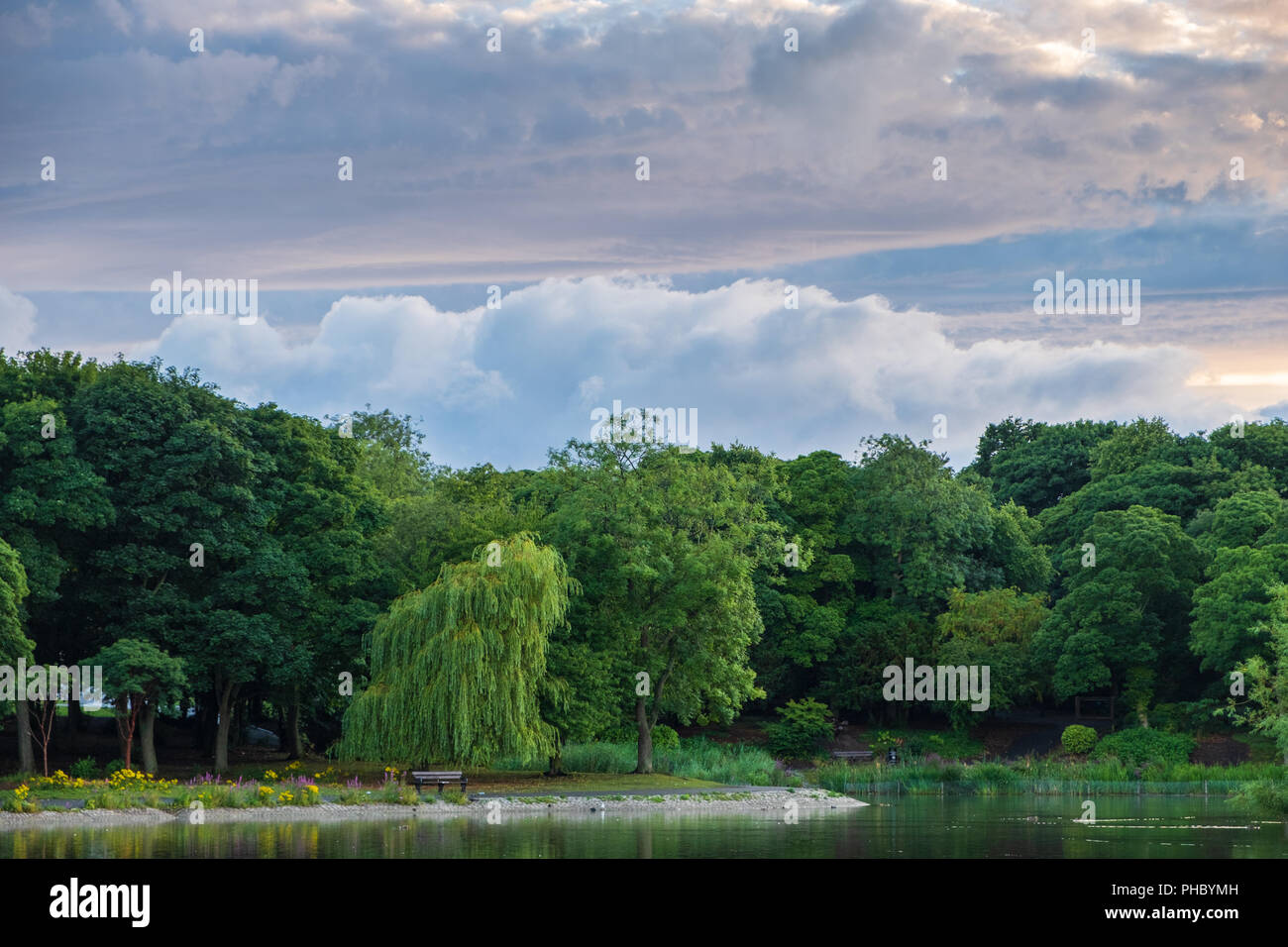 Beautiful landscape of trees and pond at Leases Park in Newcastle, UK ...