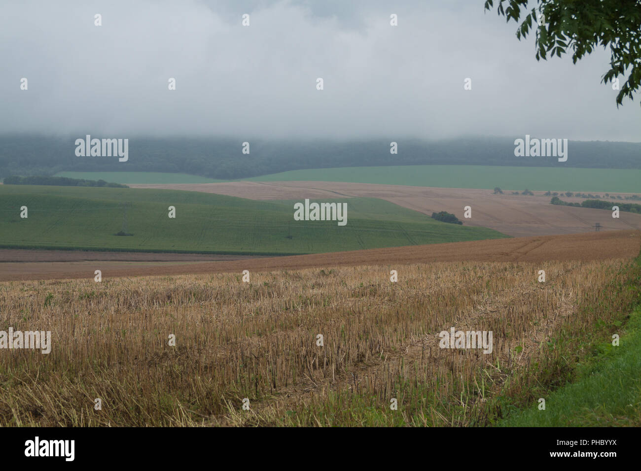 Rain clouds over harvested field Stock Photo - Alamy
