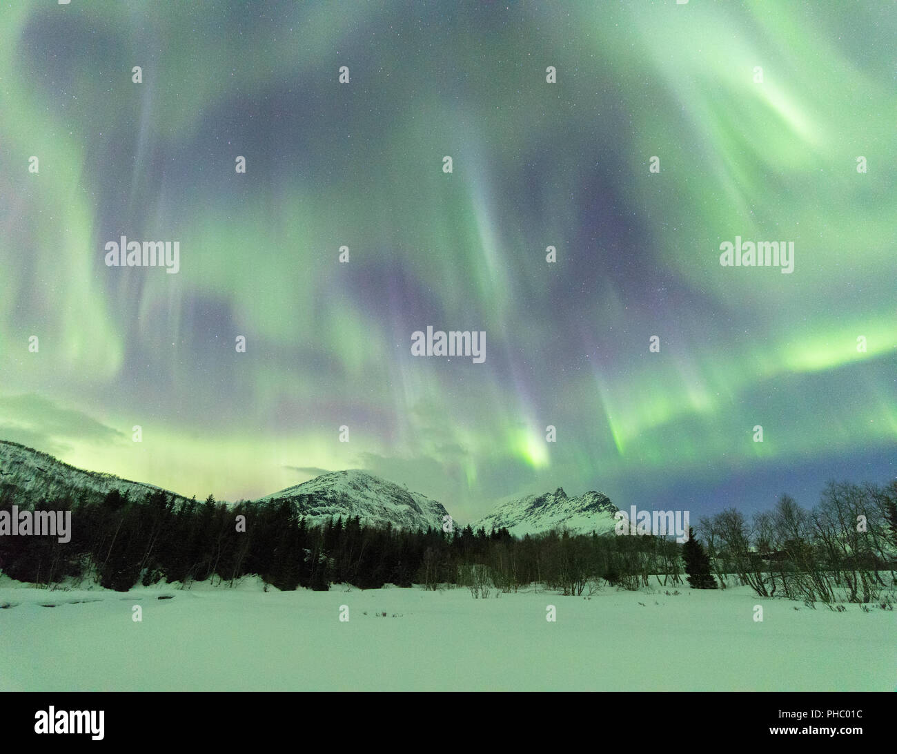 Panoramic of Northern Lights (Aurora borealis), Skoddebergvatnet ...