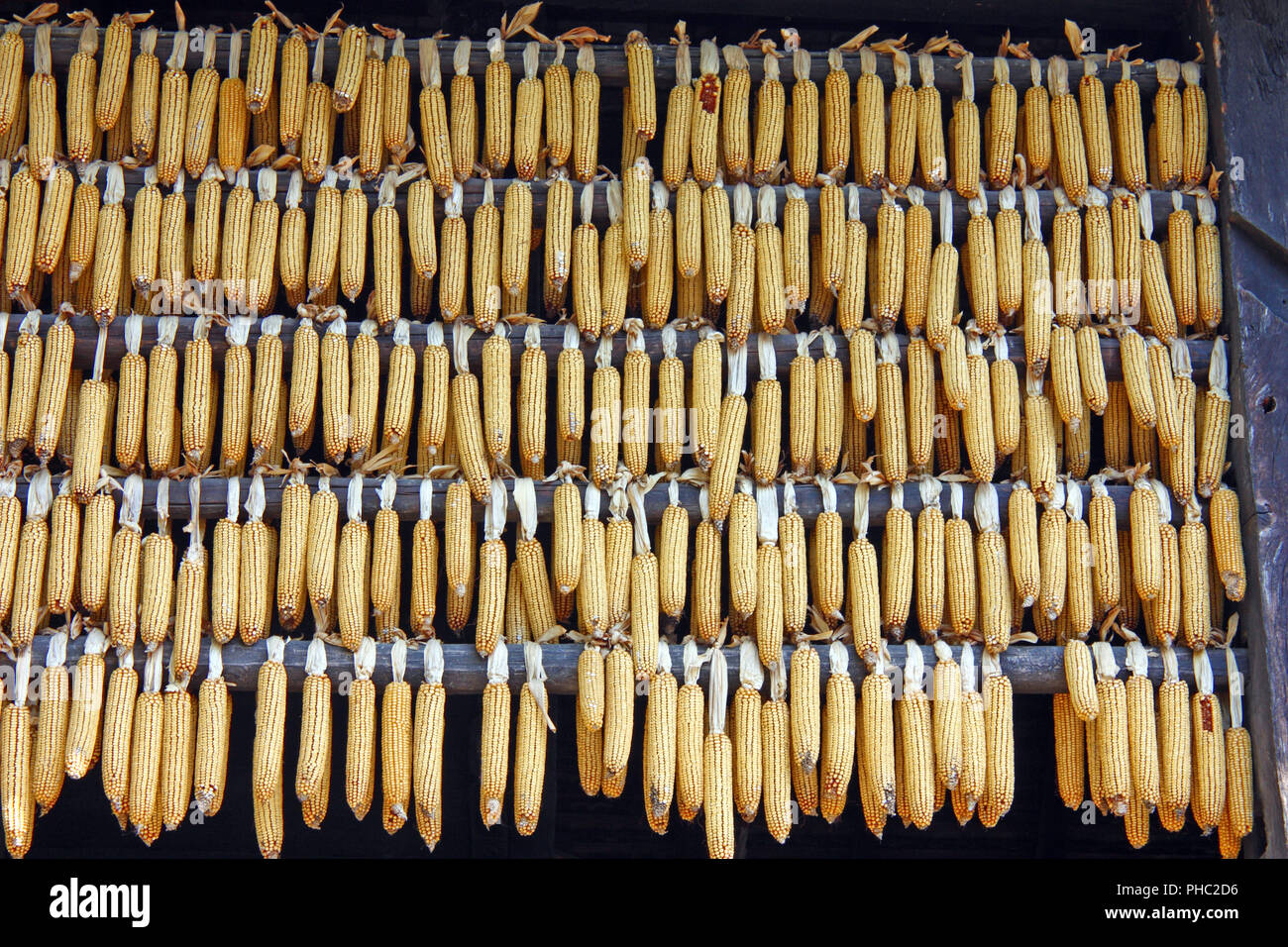 Corn cob hanging on wall hi-res stock photography and images - Alamy