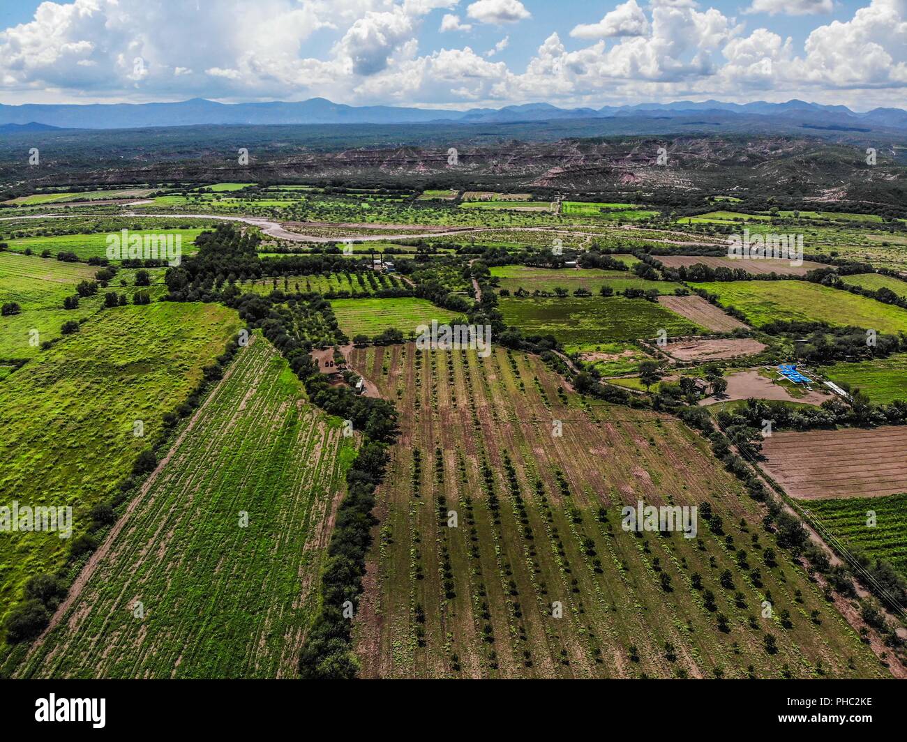 Cultivos High Resolution Stock Photography and Images - Alamy