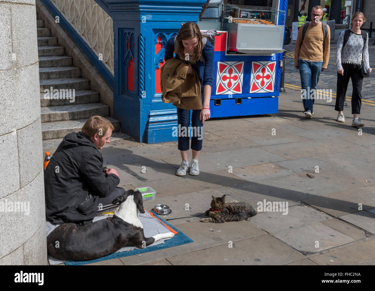 Homeless man with cat hi-res stock photography and images - Alamy
