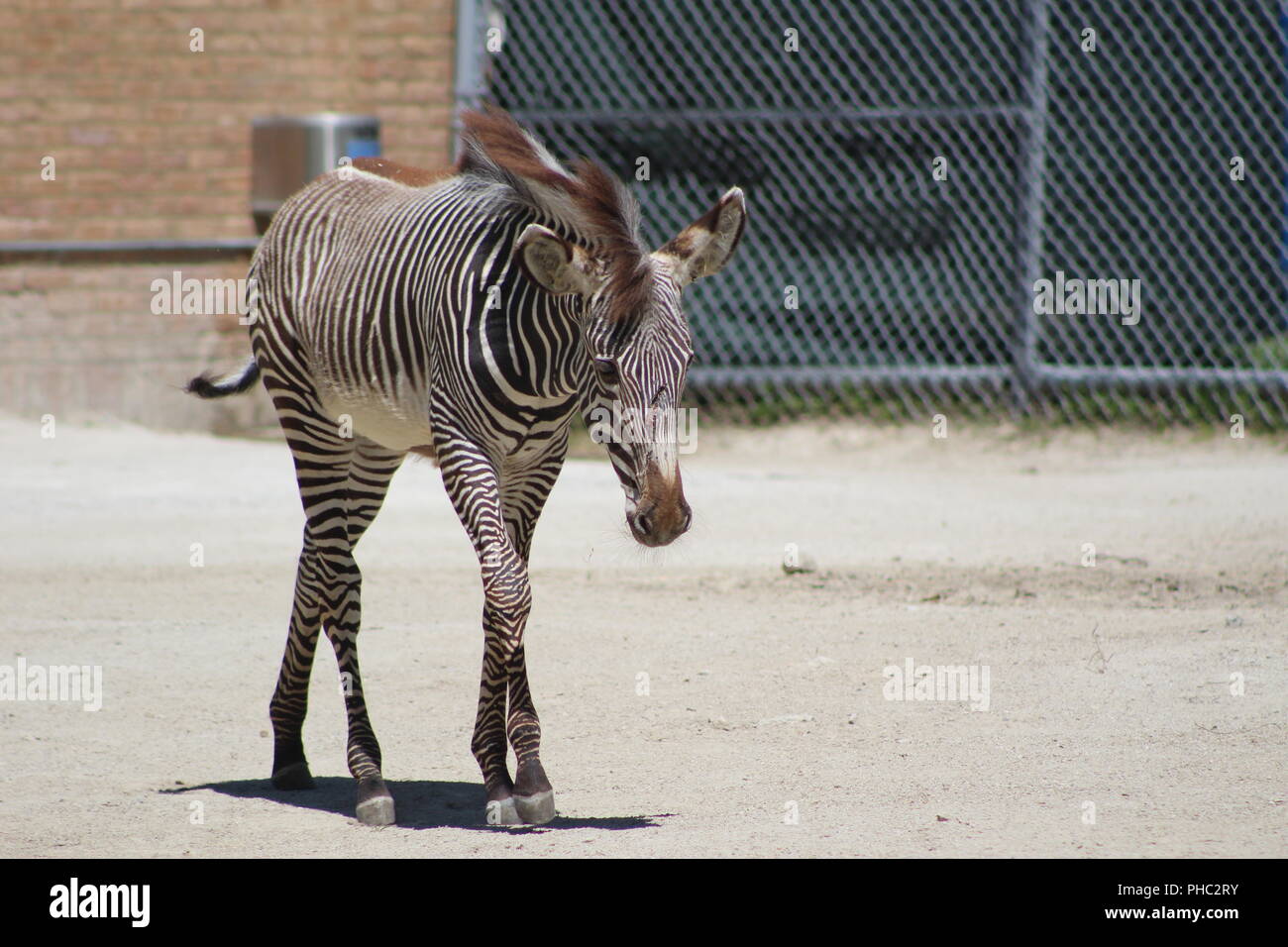 Semi arid shrubland hi-res stock photography and images - Alamy