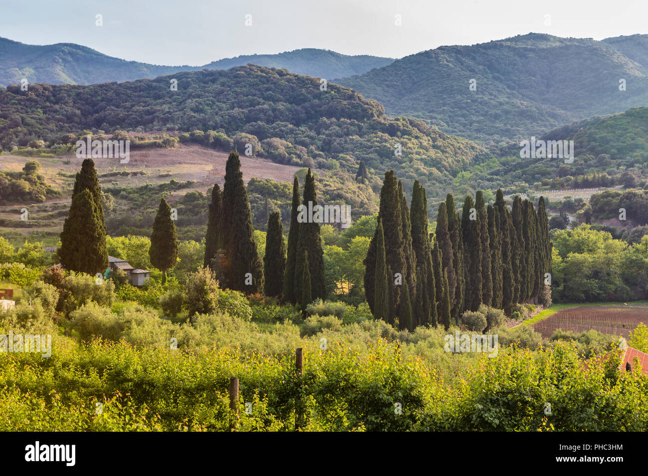 Landscape, Mount Athos, Athos peninsula, Greece Stock Photo - Alamy