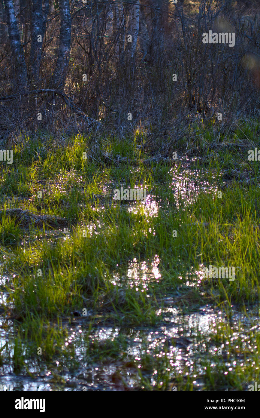 Harjumaa hi-res stock photography and images - Alamy