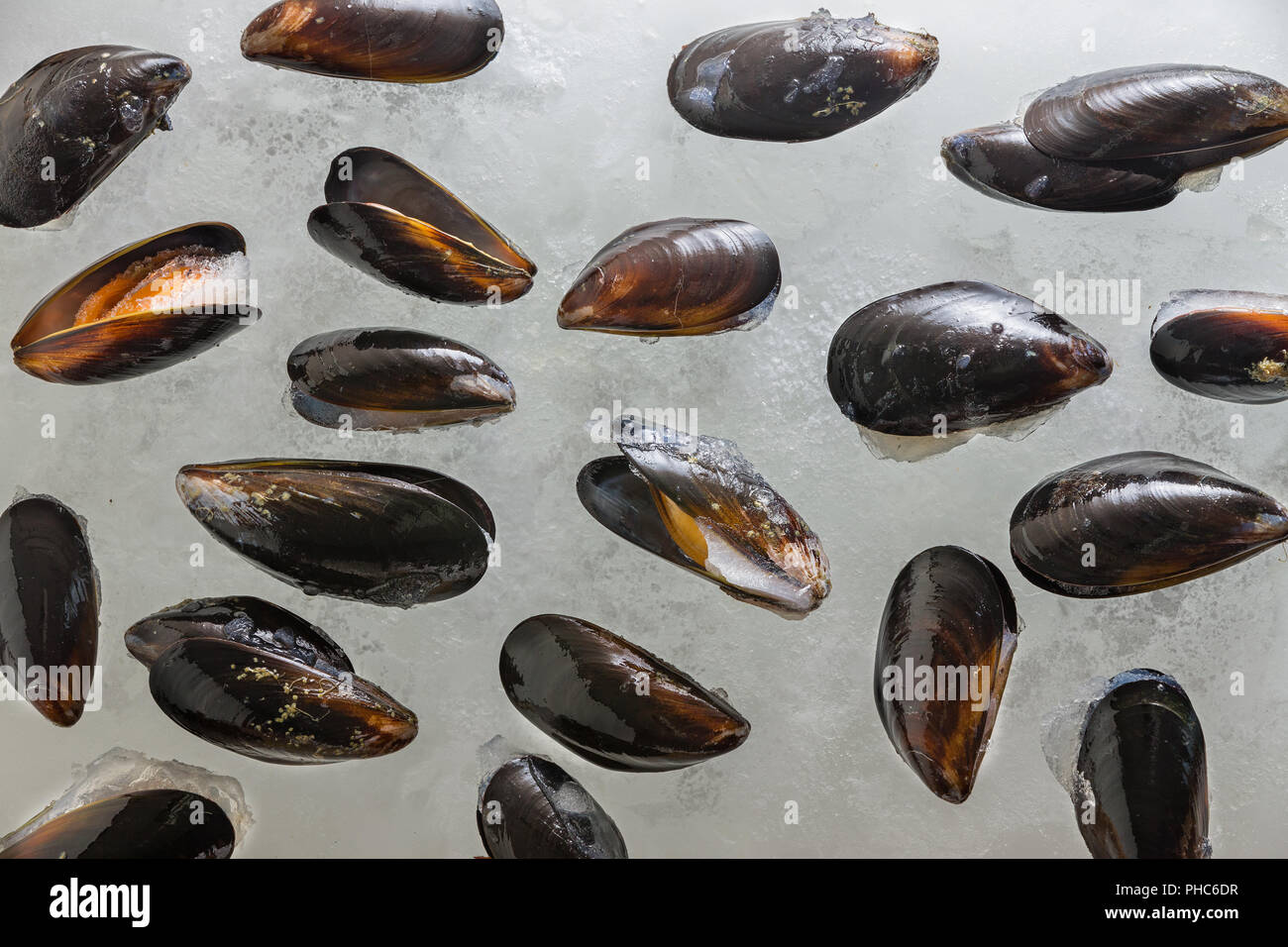 High in proteins hi-res stock photography and images - Alamy