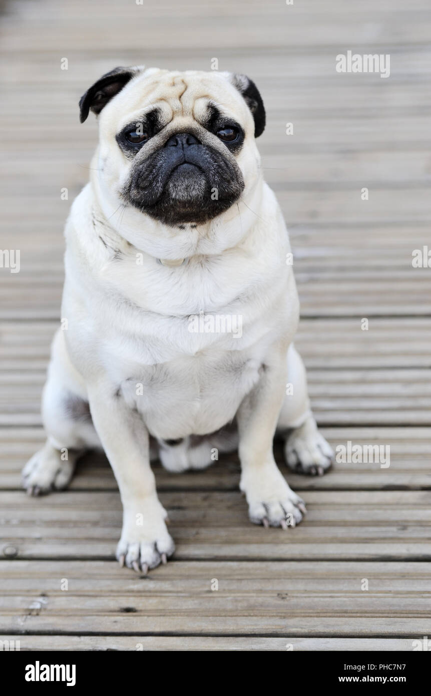 Sitting wrinkled hi-res stock photography and images - Alamy