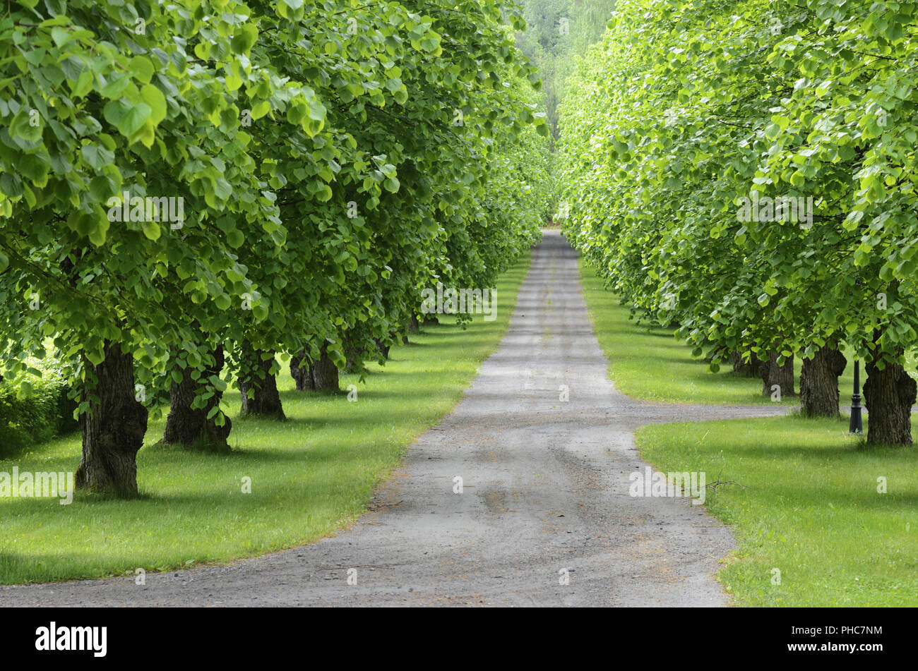 Wide alley hi-res stock photography and images - Alamy