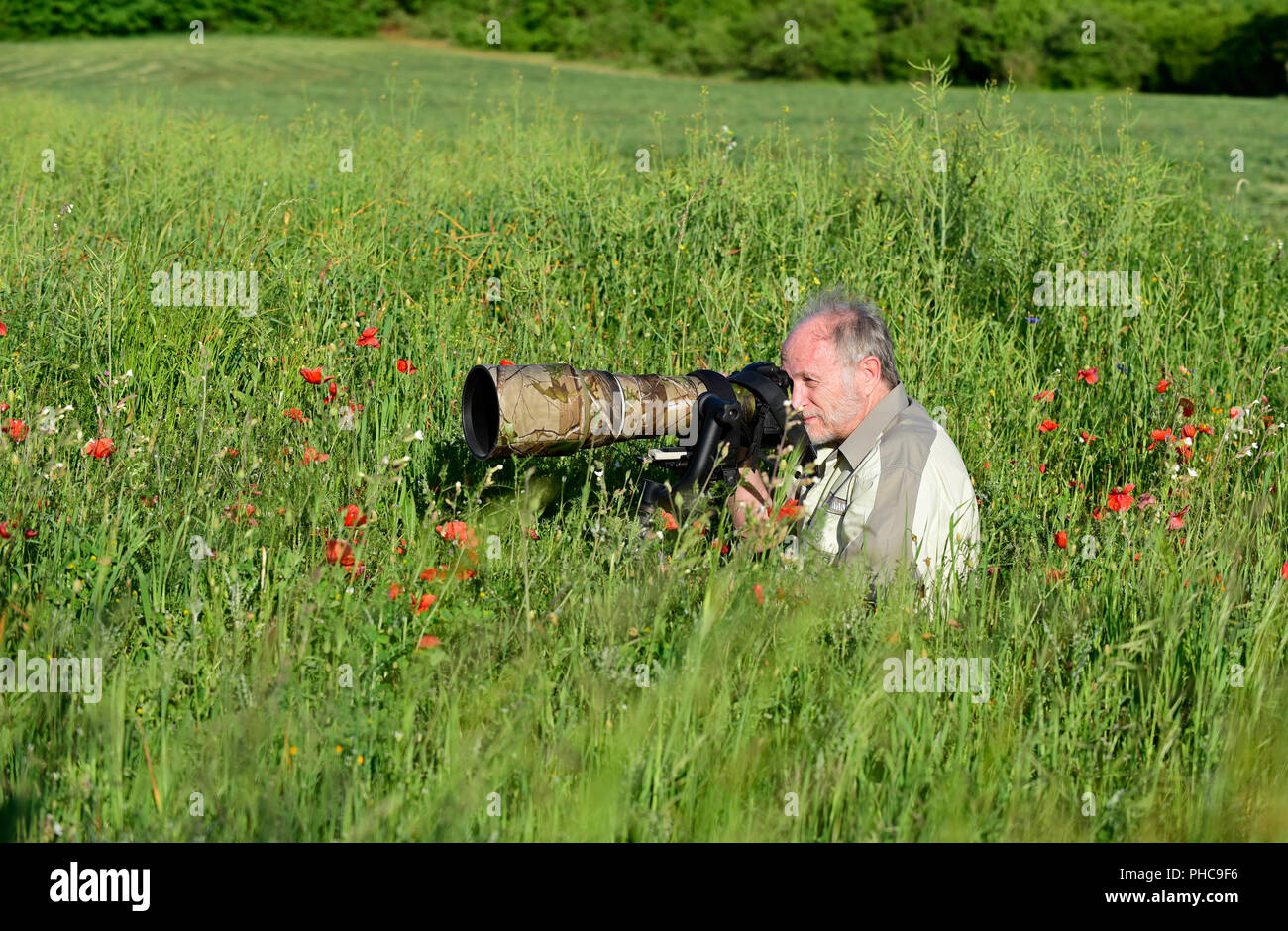 Photographer with big lens hi-res stock photography and images - Alamy