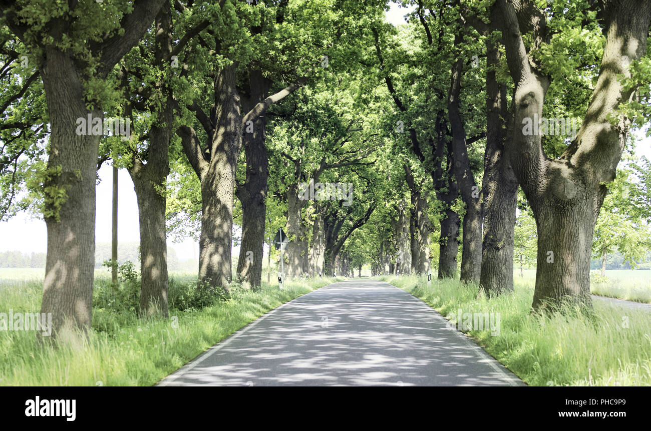 country road without traffic Stock Photo - Alamy