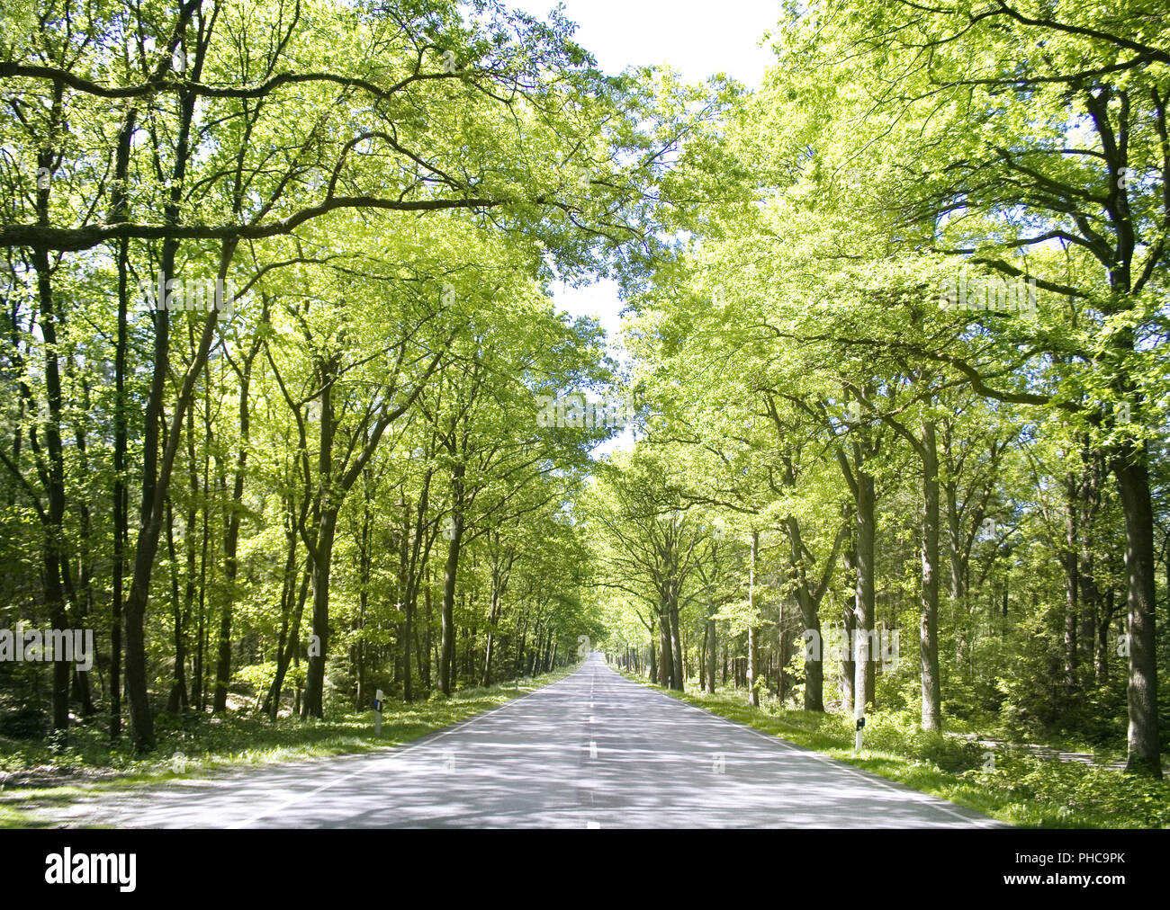 country road without traffic Stock Photo - Alamy