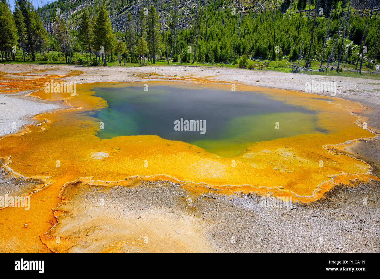 Emerald pool national park hi-res stock photography and images - Alamy