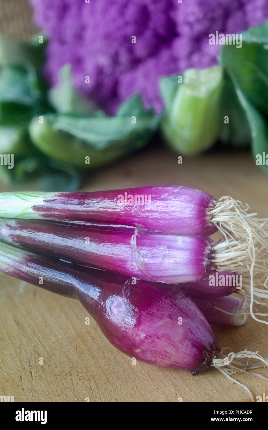 Alliums onions hi-res stock photography and images - Alamy
