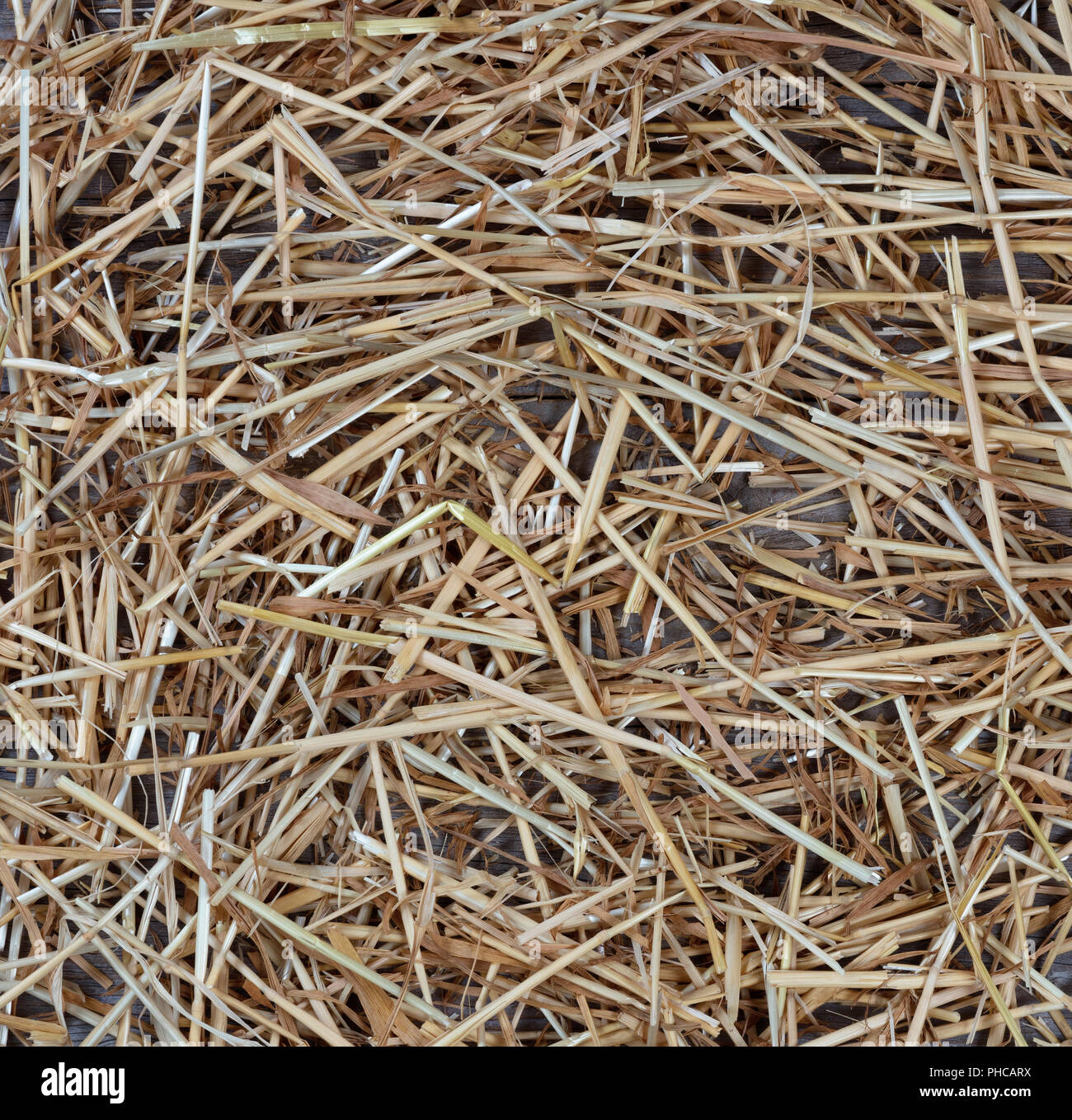 Dried straw on rustic wood for Autumn holiday background Stock Photo ...