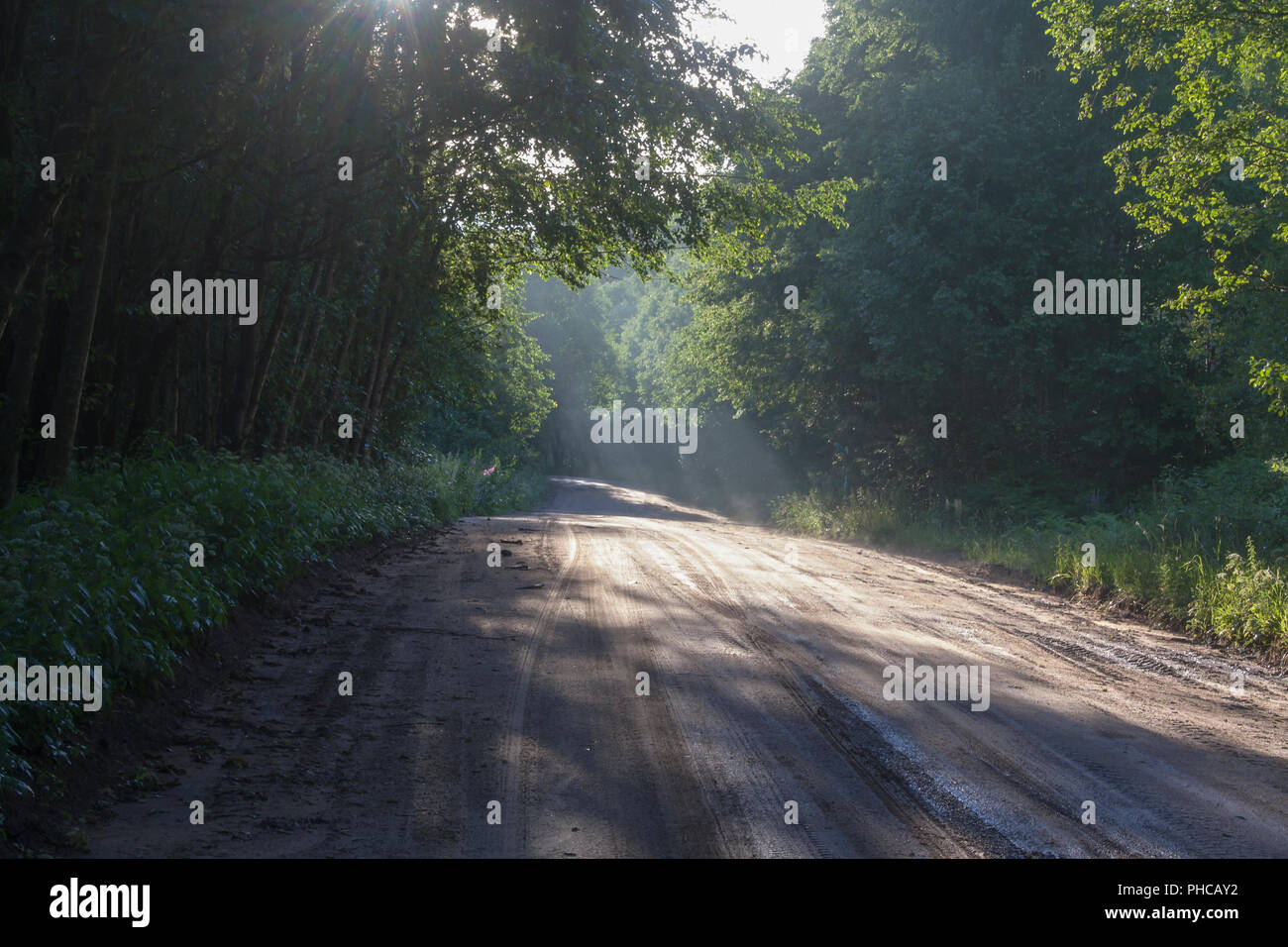 Sun rays on ground hi-res stock photography and images - Alamy