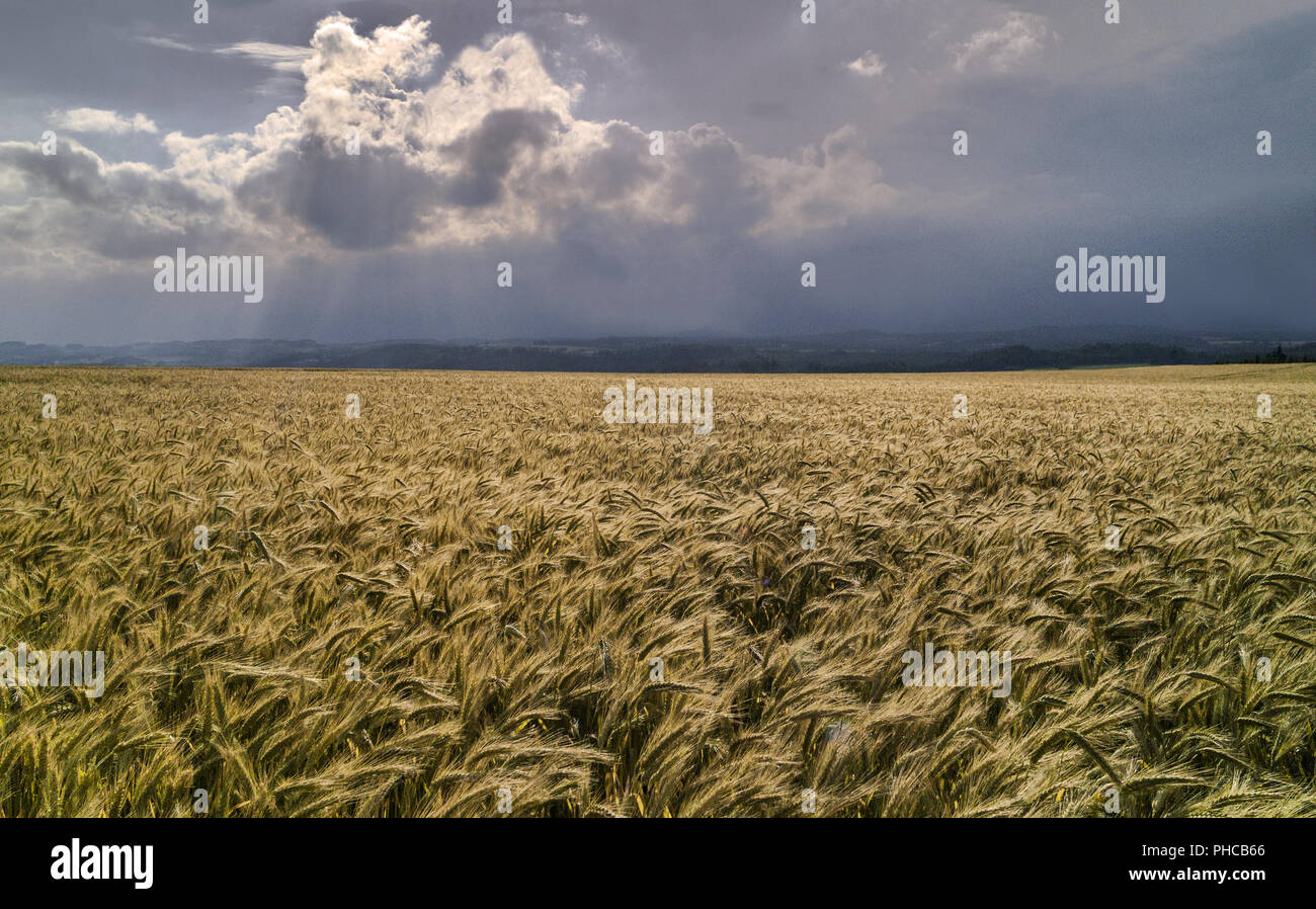 Storm clouds above field hi-res stock photography and images - Alamy