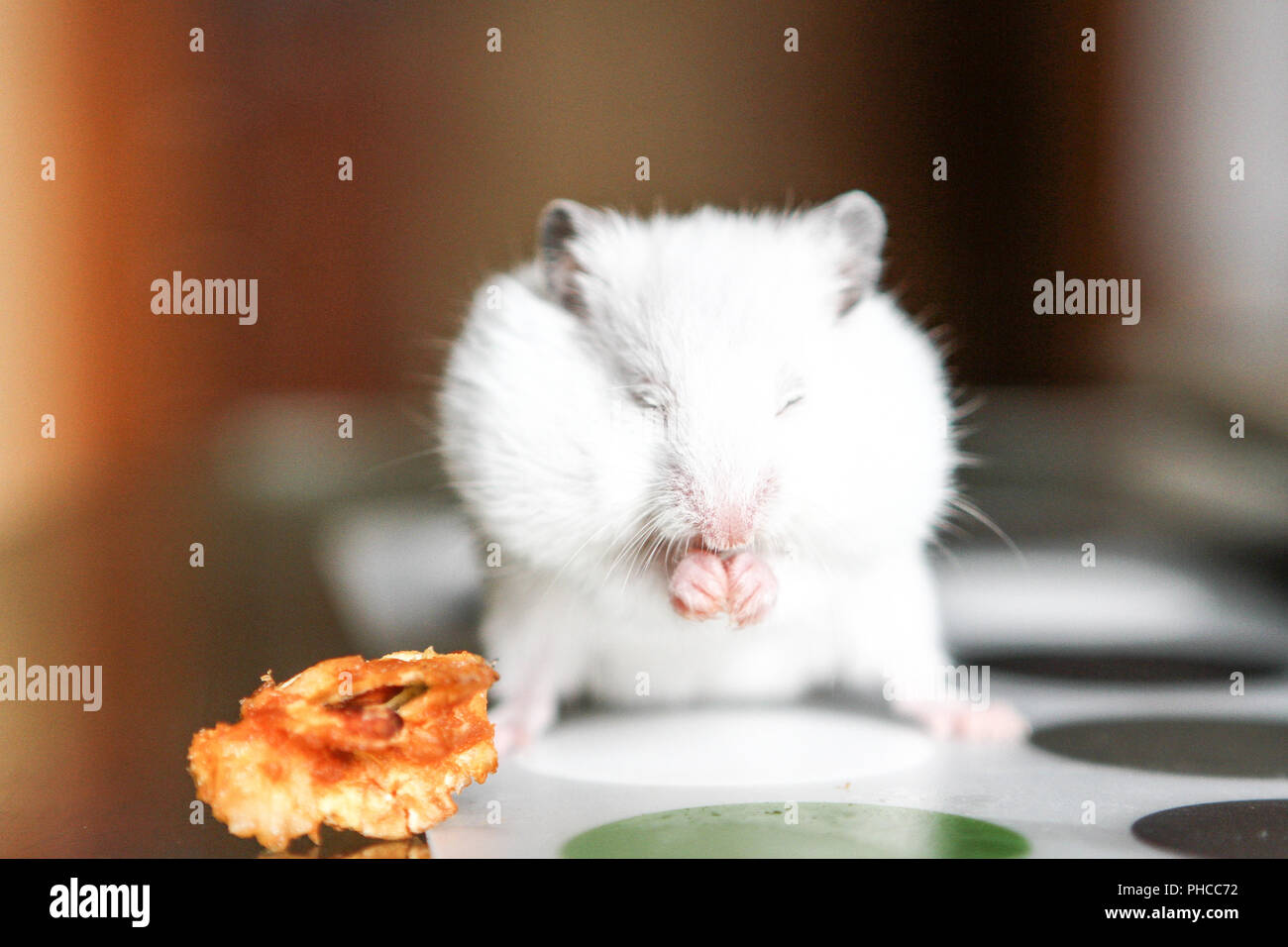 Eats mice hi-res stock photography and images - Alamy
