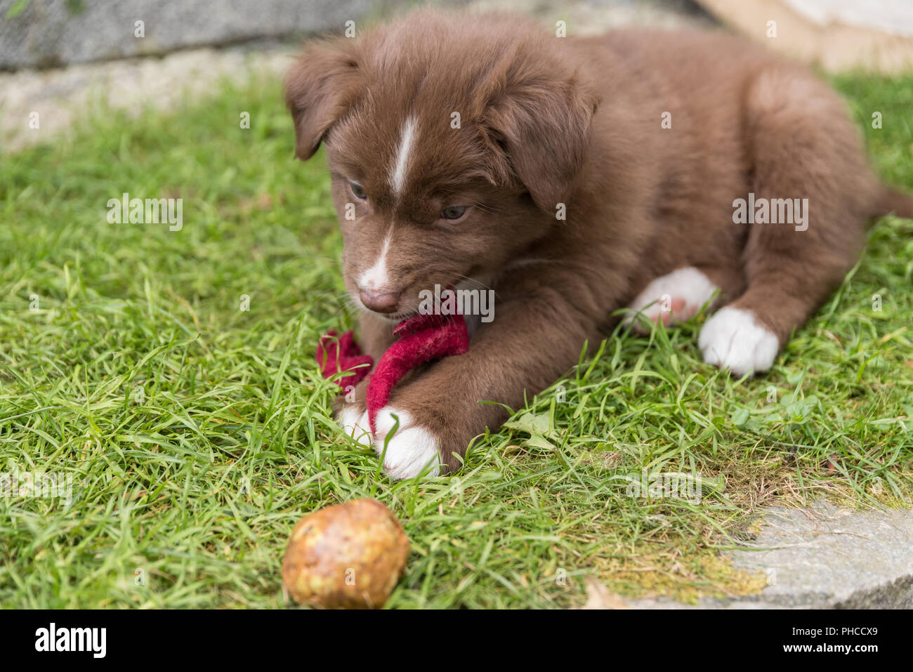 Playing in the garden hi-res stock photography and images - Alamy