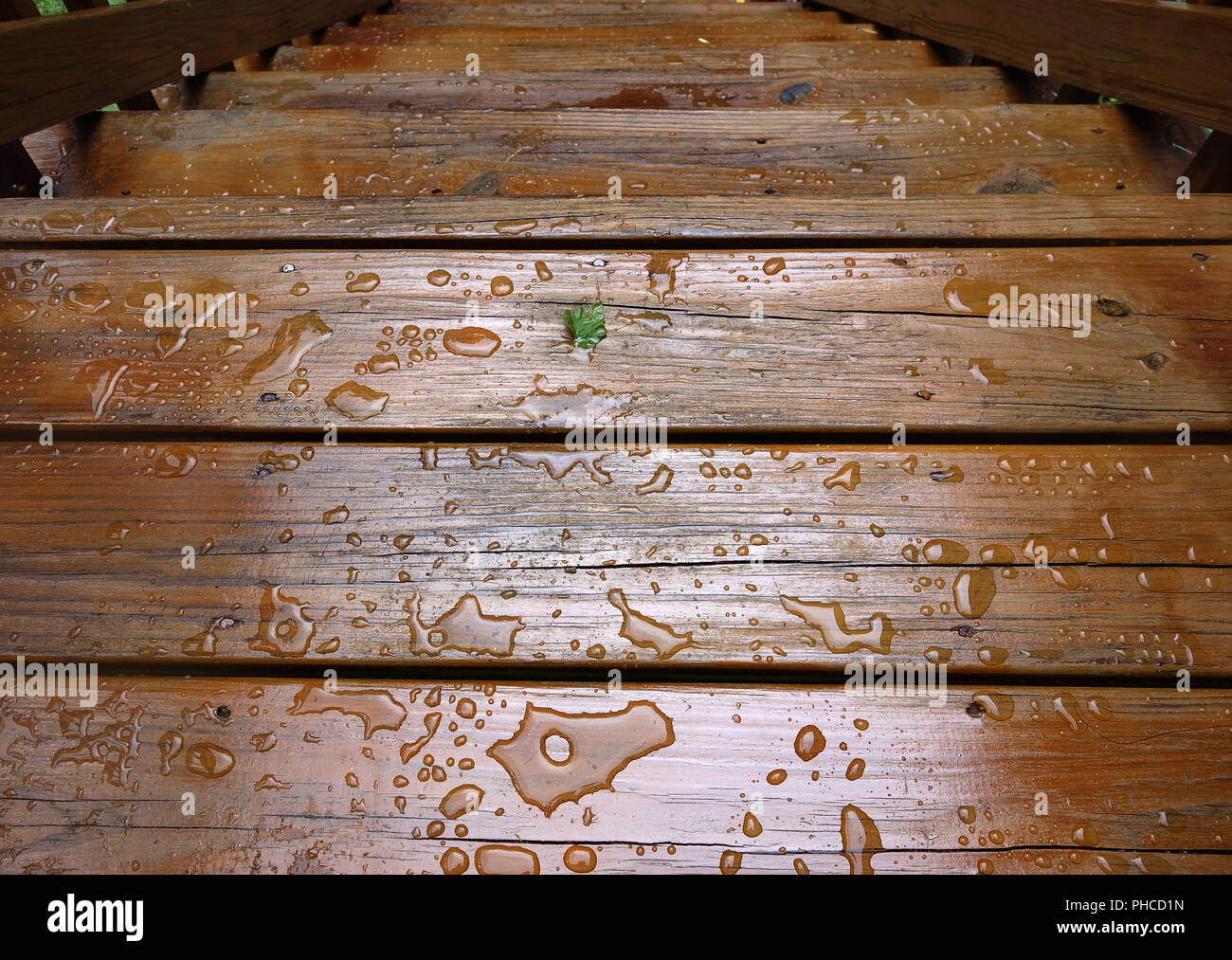 Wet outdoor steps Stock Photo - Alamy