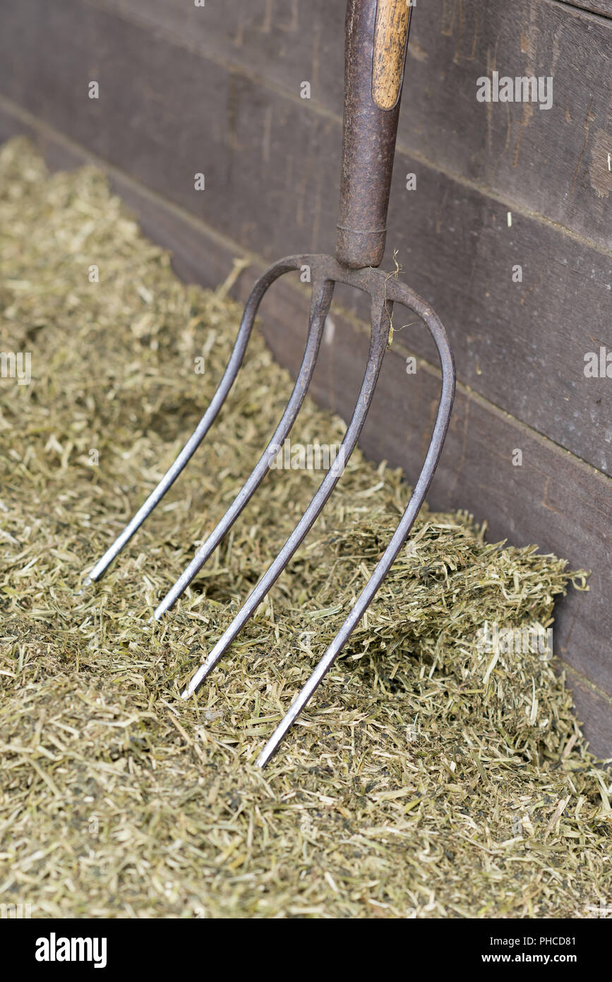 Plants for cattle feed hi-res stock photography and images - Alamy