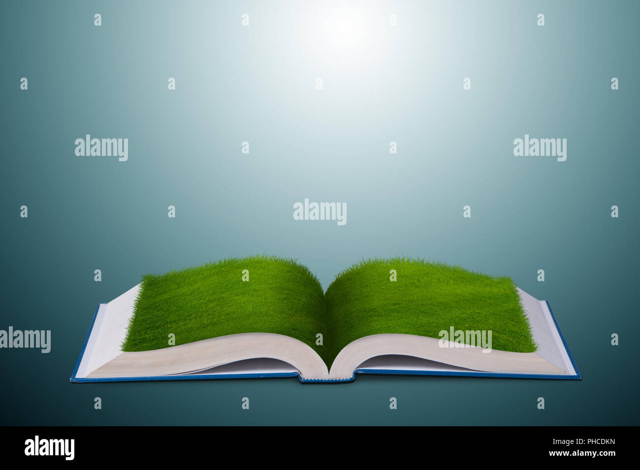 Open book in paper recycling concept - 3d rendering Stock Photo - Alamy