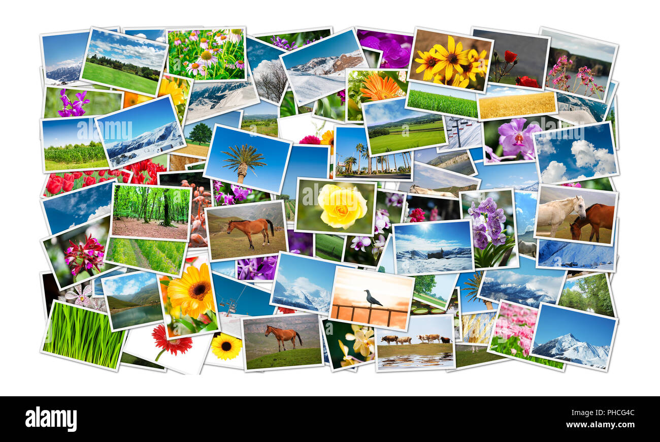 Frame made of various nature photos Stock Photo - Alamy