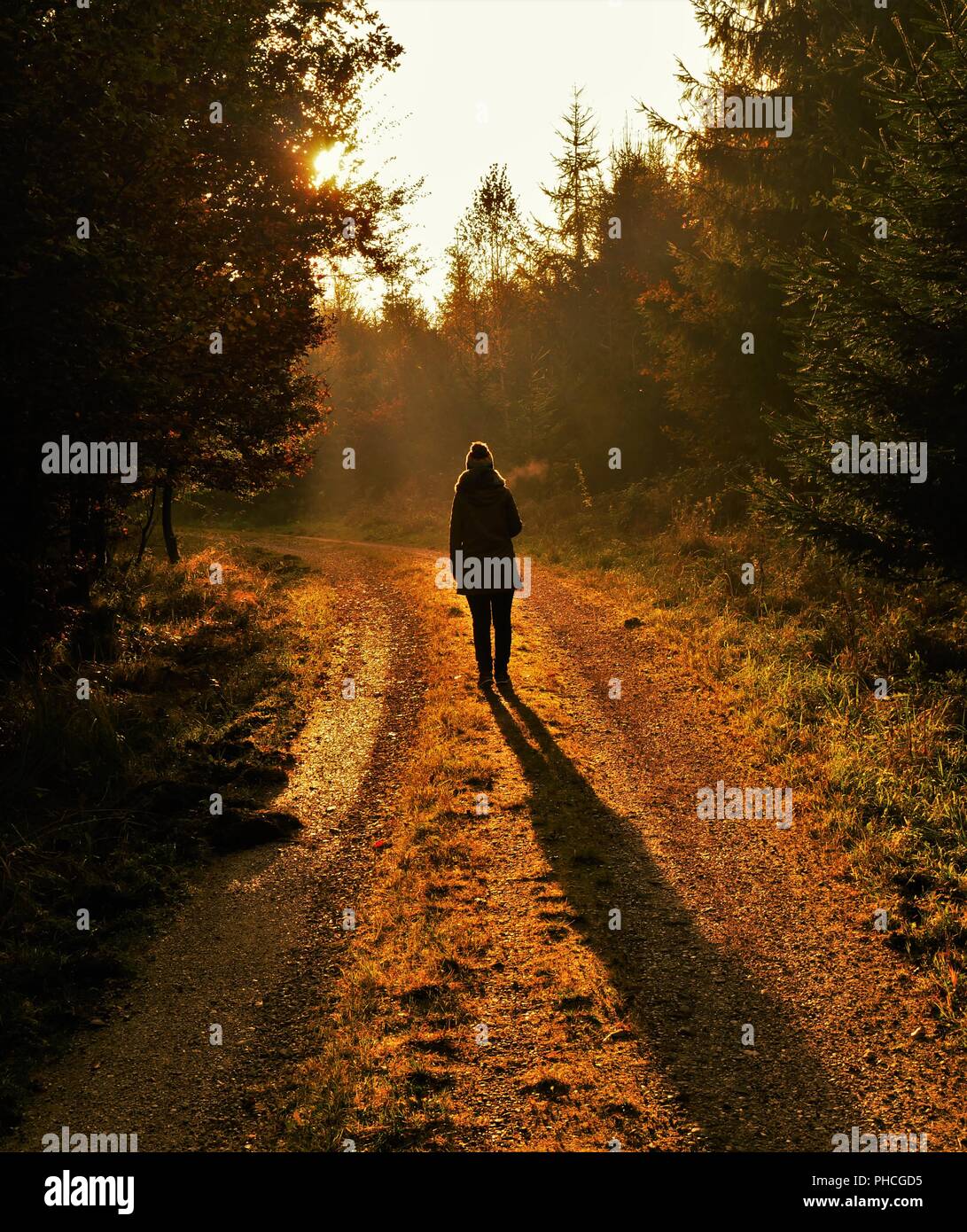 Silhouette of a woman with long shadow on a hiking trail on an autumn ...