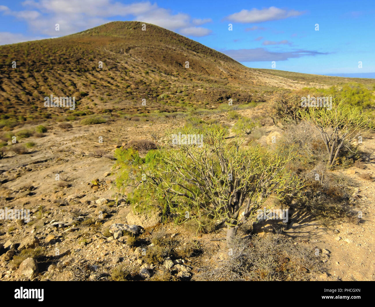 Dry Desert Landscape Stock Photo - Alamy