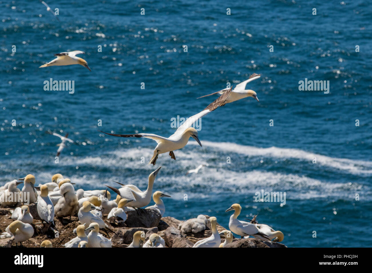 Flying cape hi-res stock photography and images - Alamy