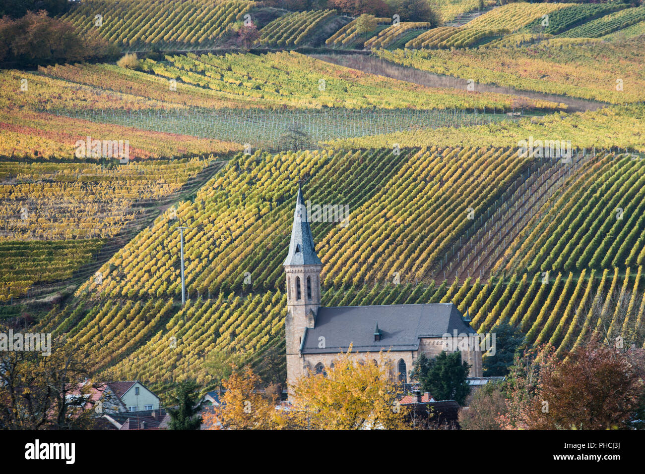 Leinsweiler germany hi-res stock photography and images - Alamy