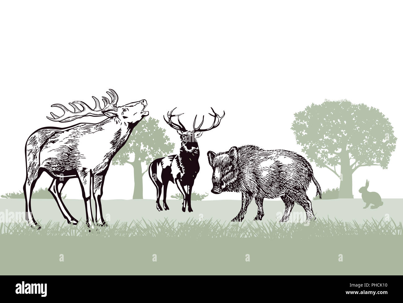 Boar and deer hi-res stock photography and images - Alamy