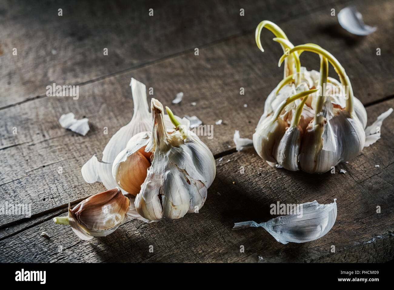sprouting garlic on wooden table Stock Photo - Alamy