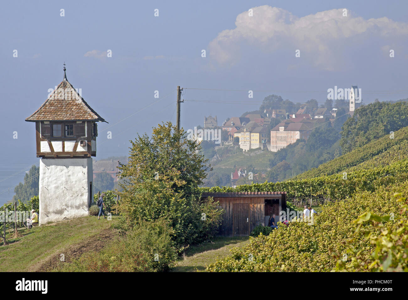Vineyard Watchtower High Resolution Stock Photography and Images - Alamy