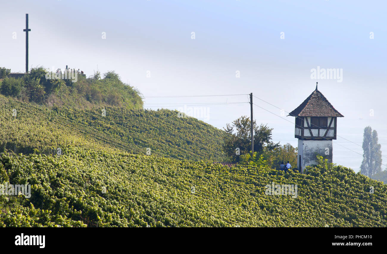 Vineyard watchtower hi-res stock photography and images - Alamy
