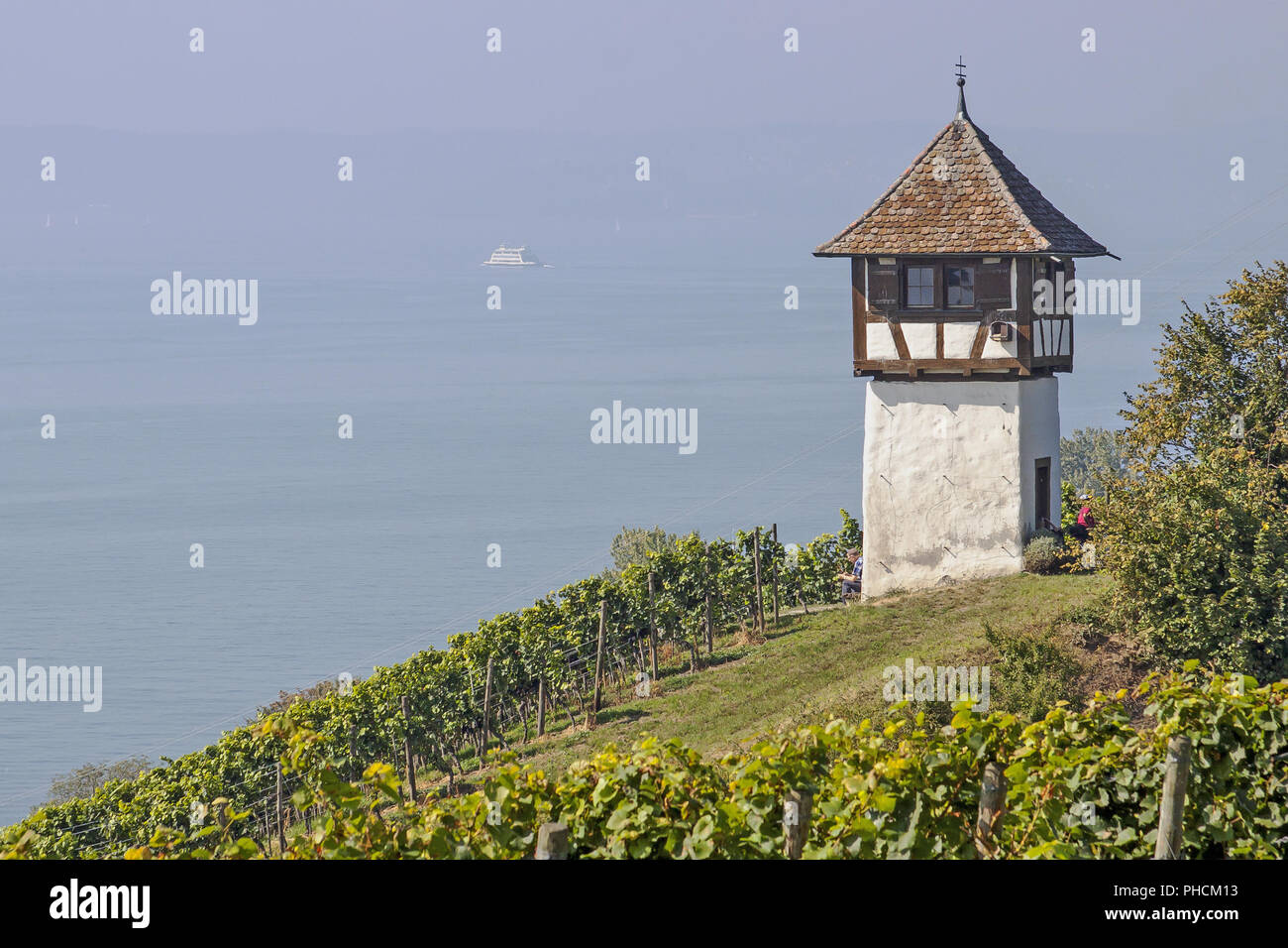 Vineyard watchtower hi-res stock photography and images - Alamy