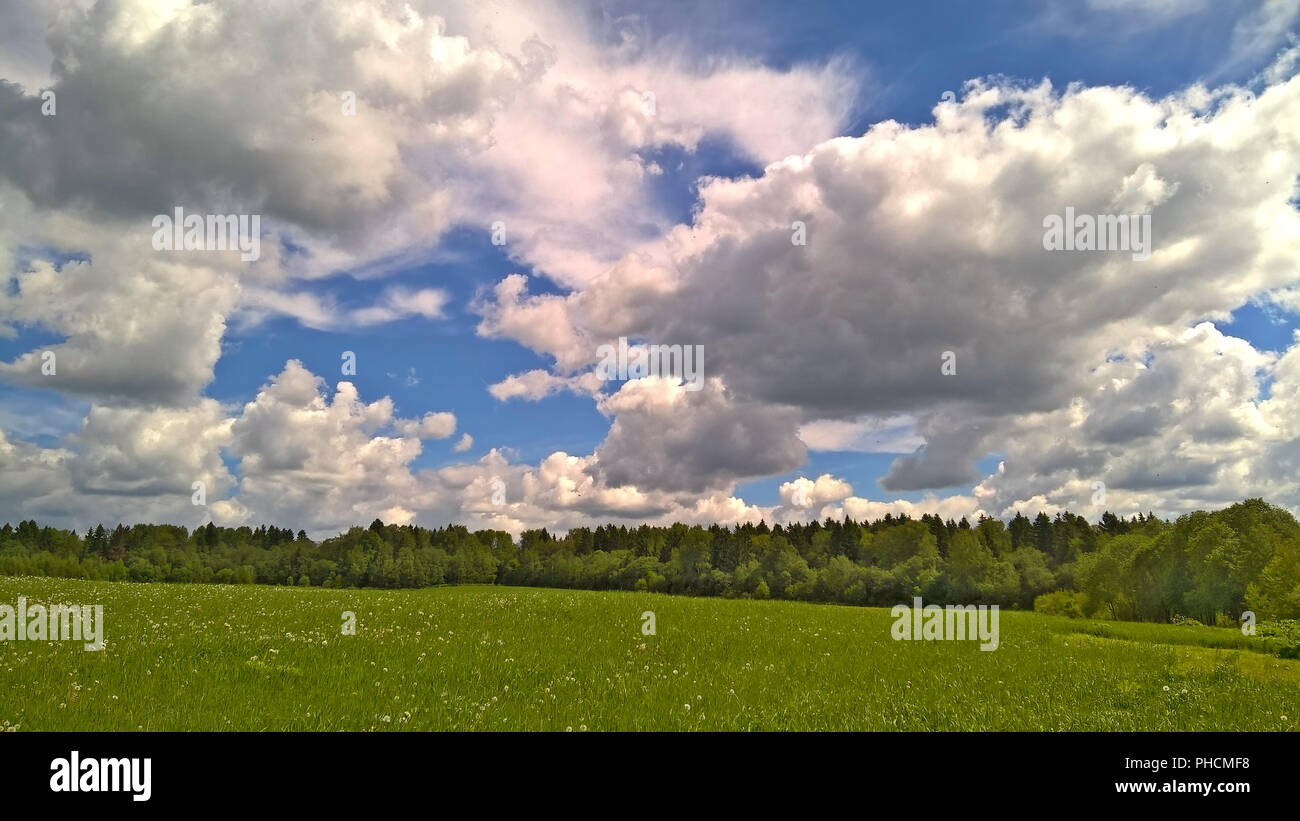 Tr summer hi-res stock photography and images - Alamy