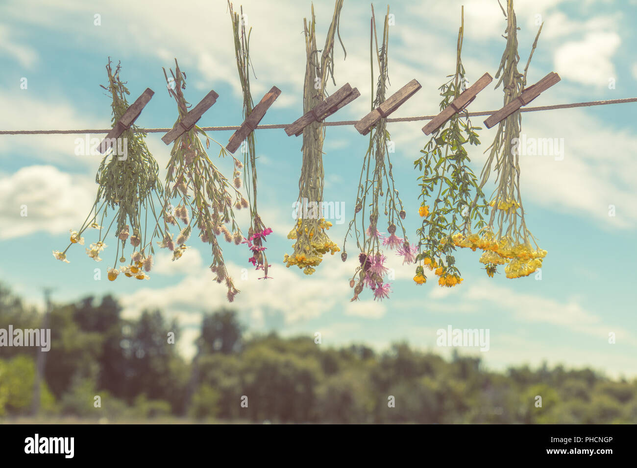 Dried in shade hi-res stock photography and images - Alamy