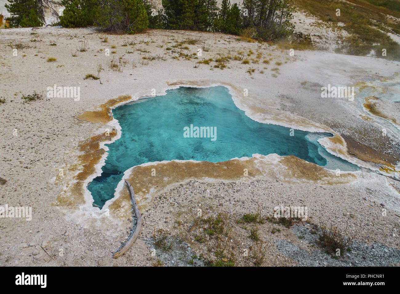 Yellowstone National Park USA and geothermal springs Stock Photo - Alamy