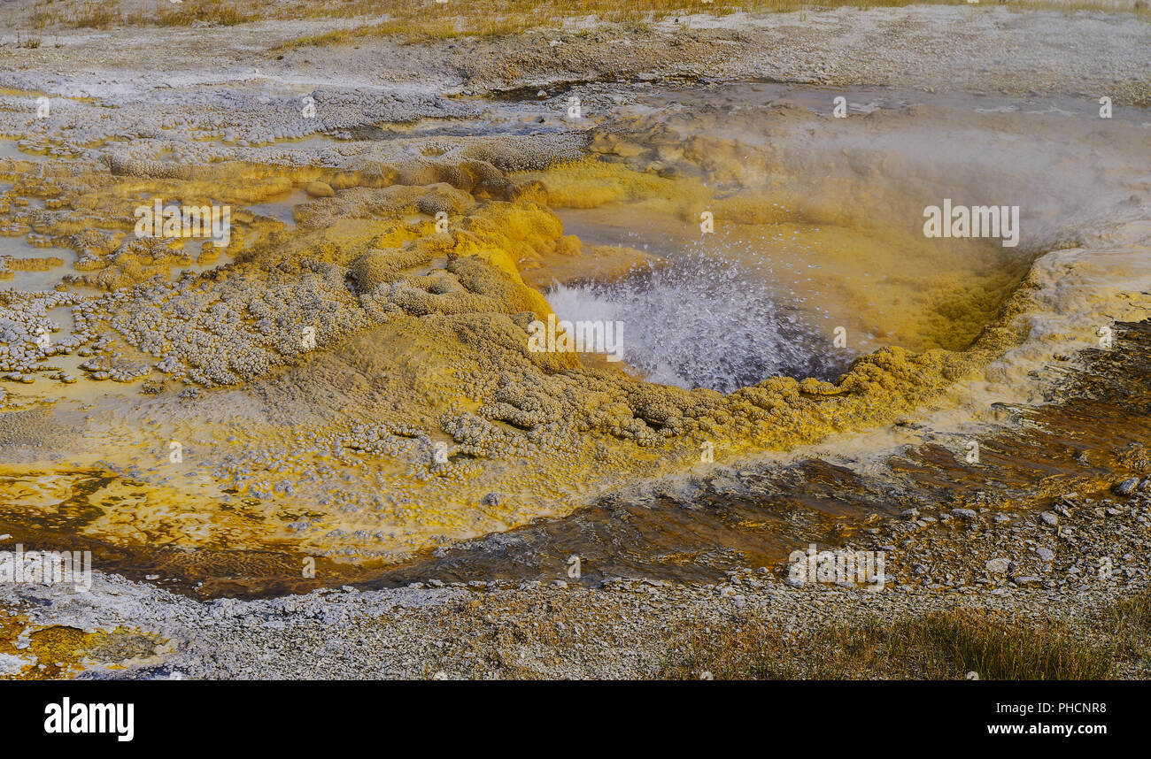 Yellowstone geothermal springs hi-res stock photography and images - Alamy