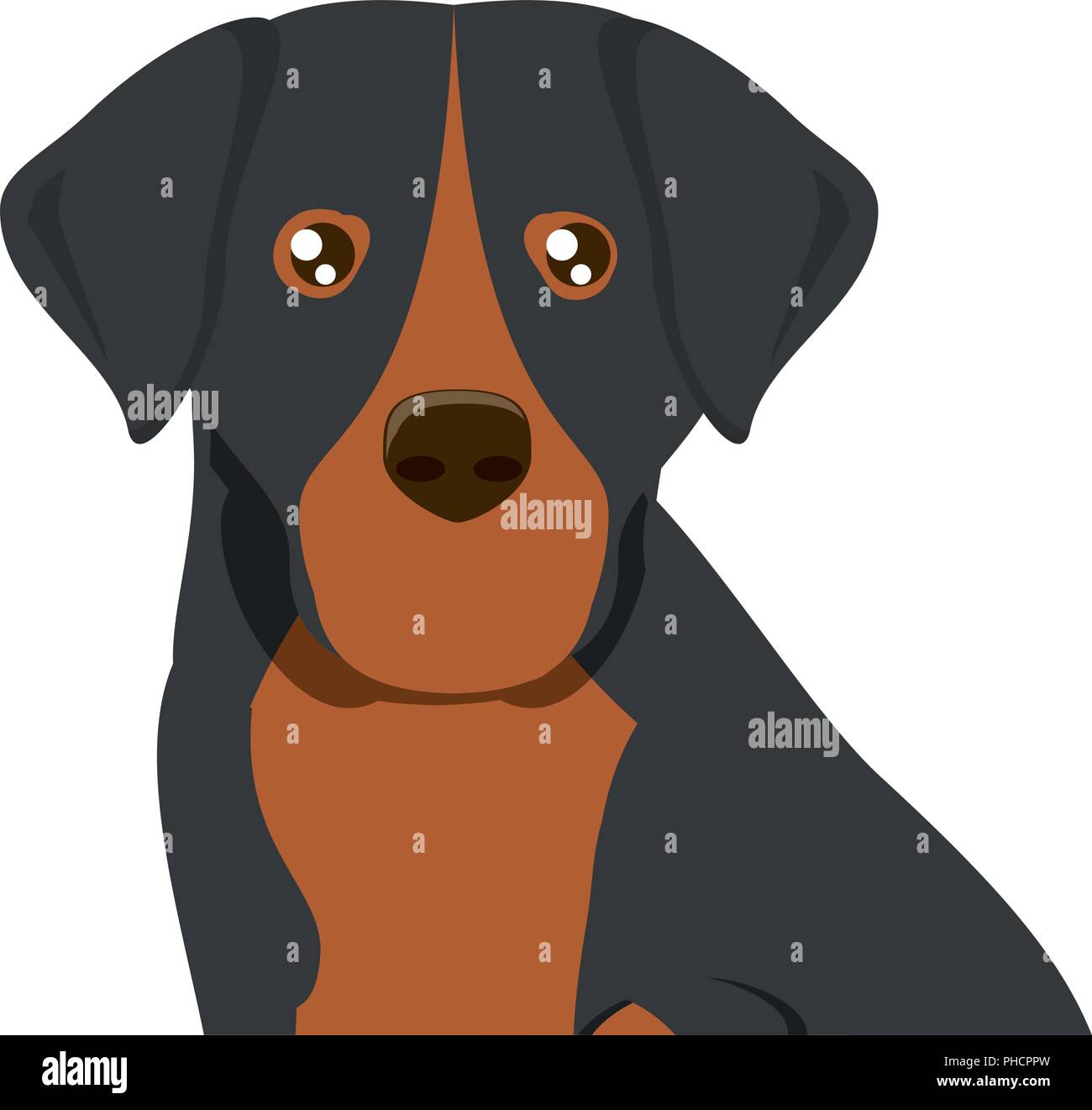 doberman dog icon over white background, vector illustration Stock ...