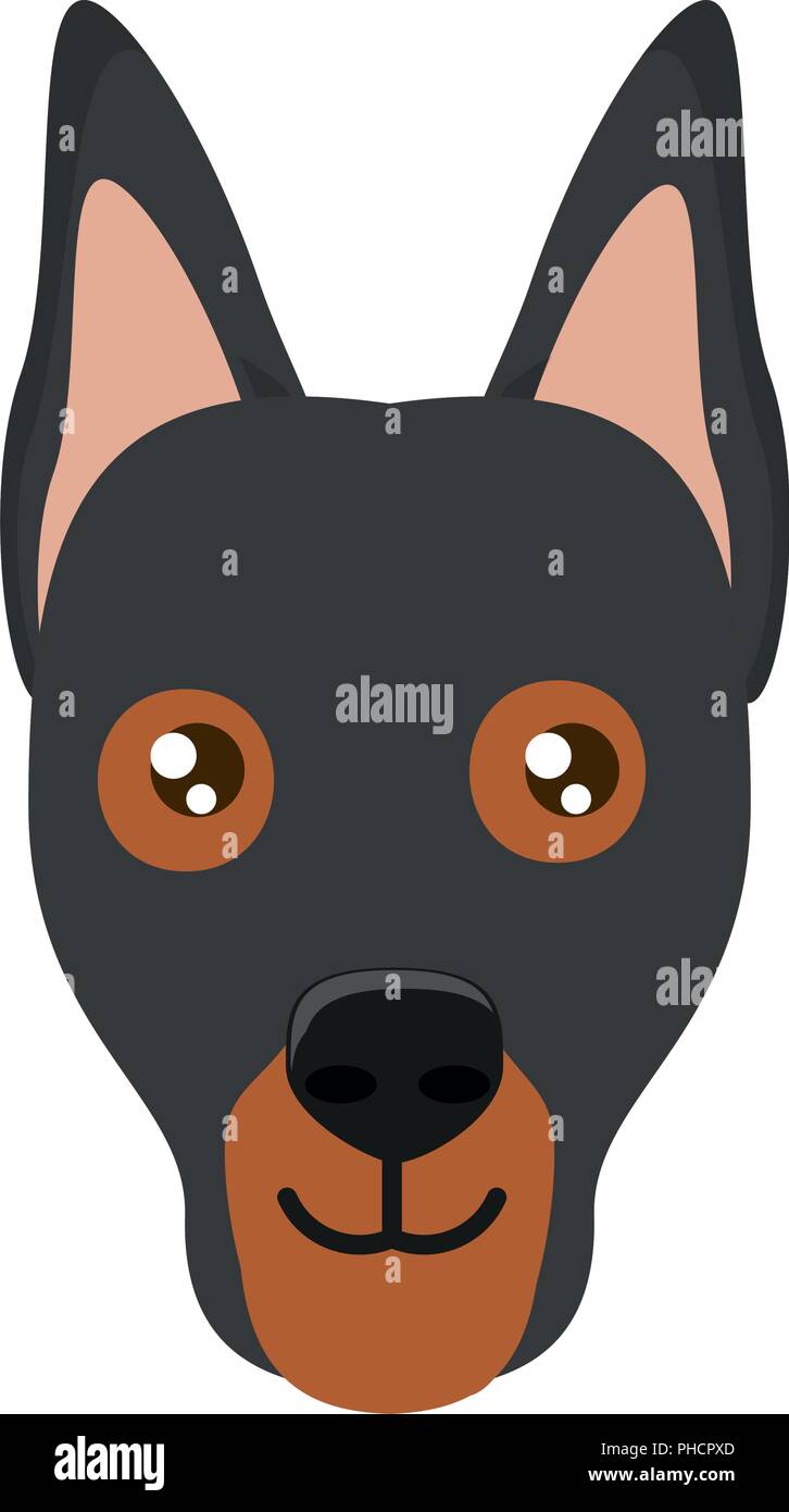 doberman dog icon over white background, vector illustration Stock ...