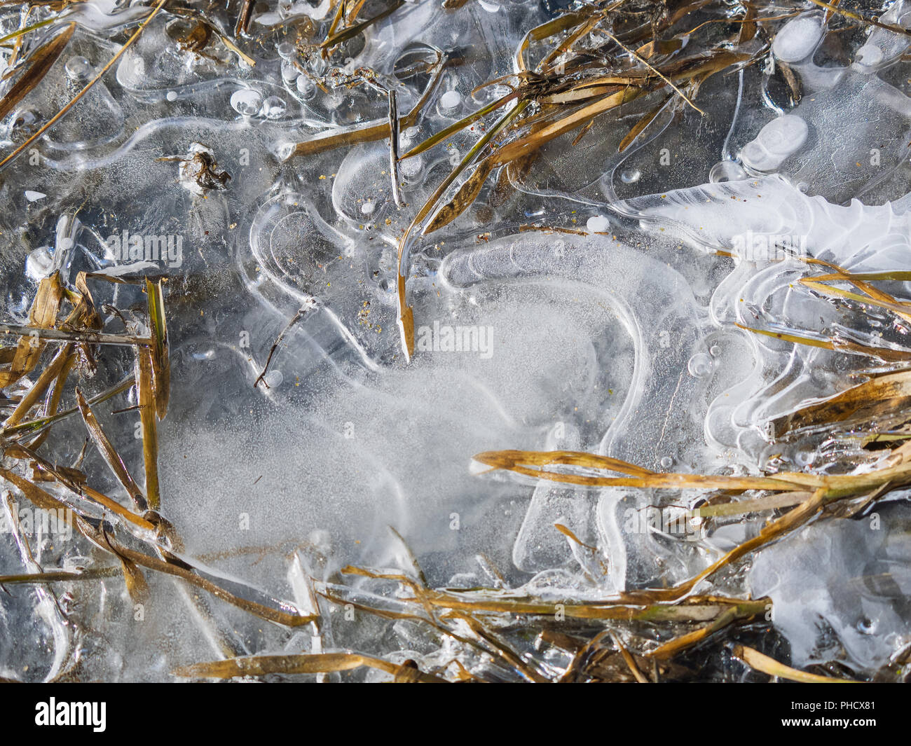 the ice on the water in early spring, the ice on the puddle, the grass ...