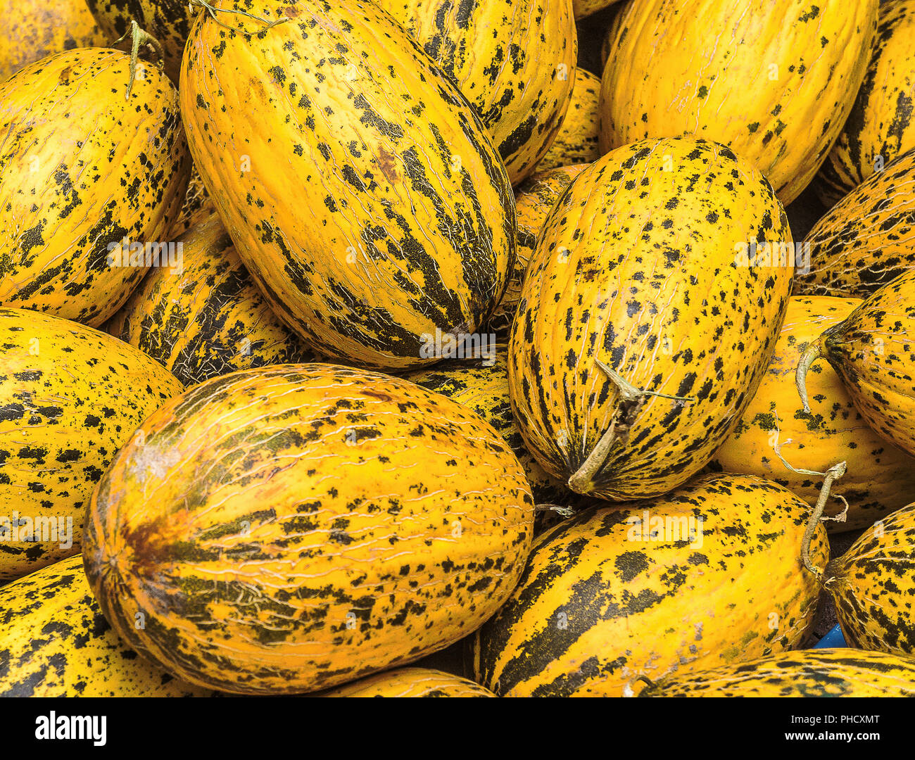 Turkey melons hi-res stock photography and images - Alamy