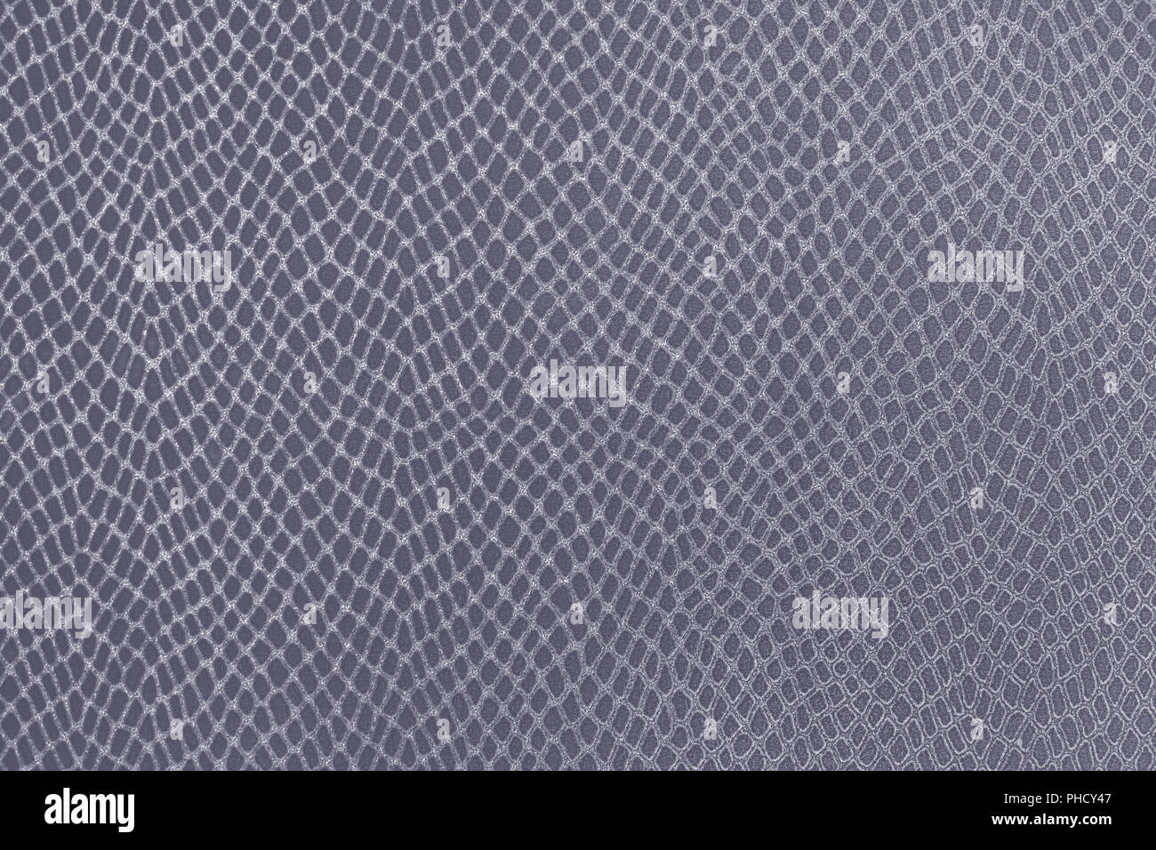 Snake skin hi-res stock photography and images - Alamy