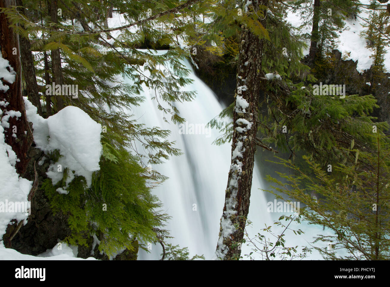 Koosah Falls, McKenzie Wild and Scenic River, McKenzie Pass-Santiam ...