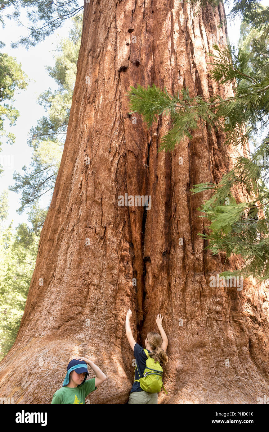Giant Sequoia National Monument Stock Photos & Giant Sequoia National Monument Stock Images - Alamy
